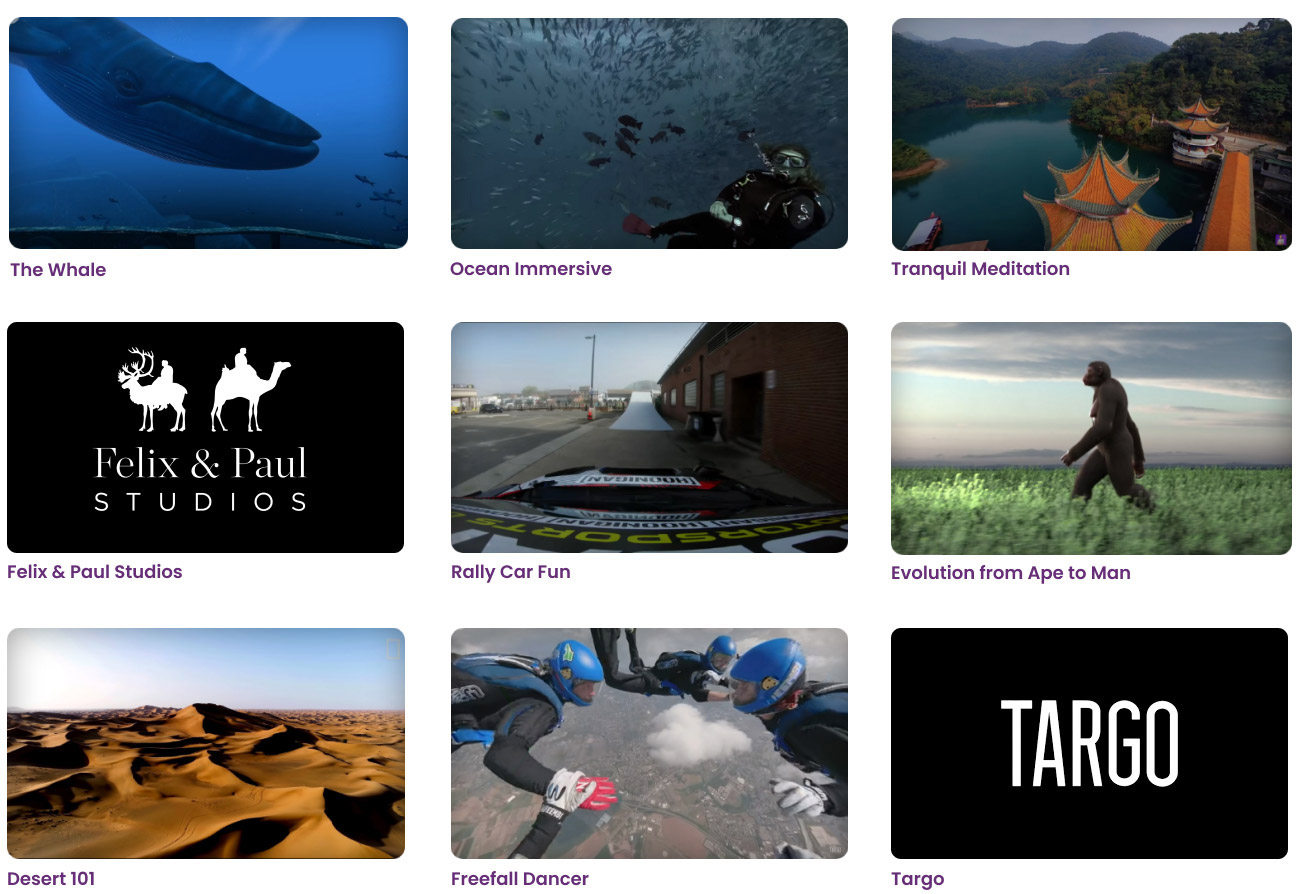 Walant Surgical Solutions